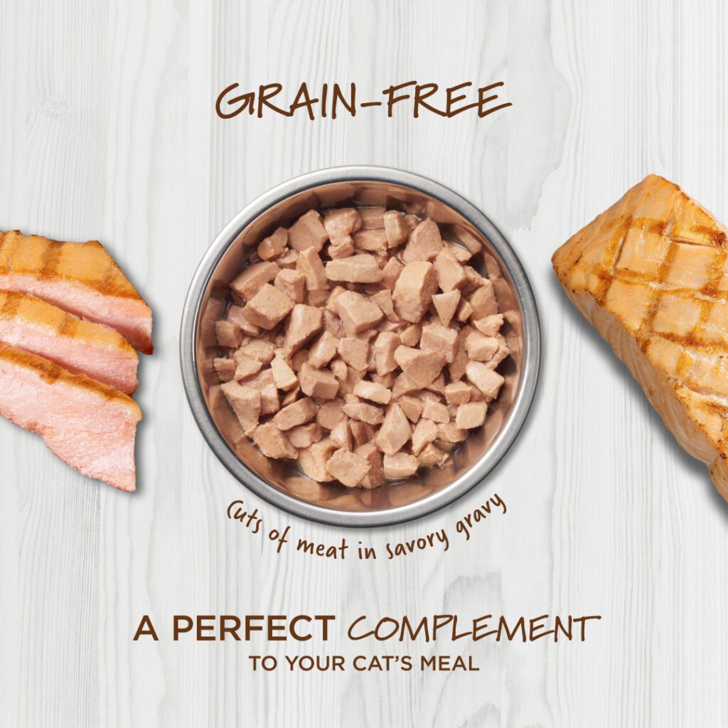 Instinct Healthy Cravings Grain Free Salmon Wet Cat Food Topper ...